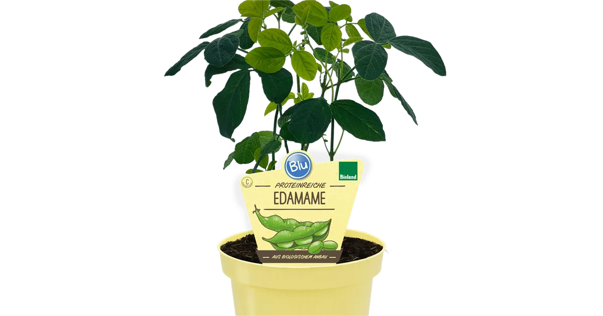 Bio Edamame